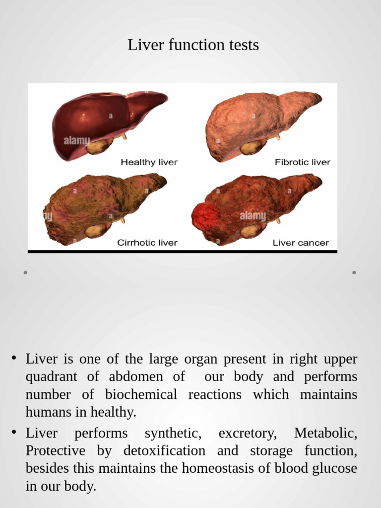 Liver Function Tests1 | PDF