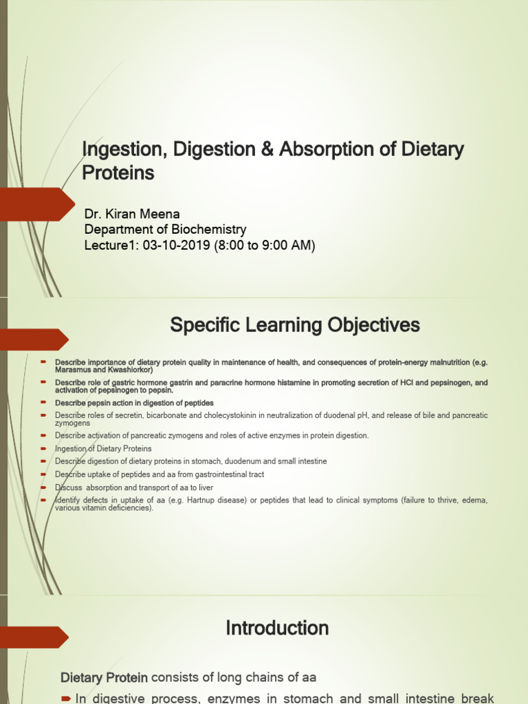 Protein - Digestion & Absn | PDF