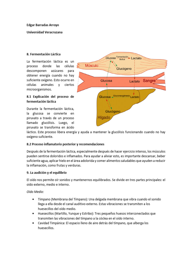 Resumen Fermentación Láctica y Sentido Del Oido | PDF