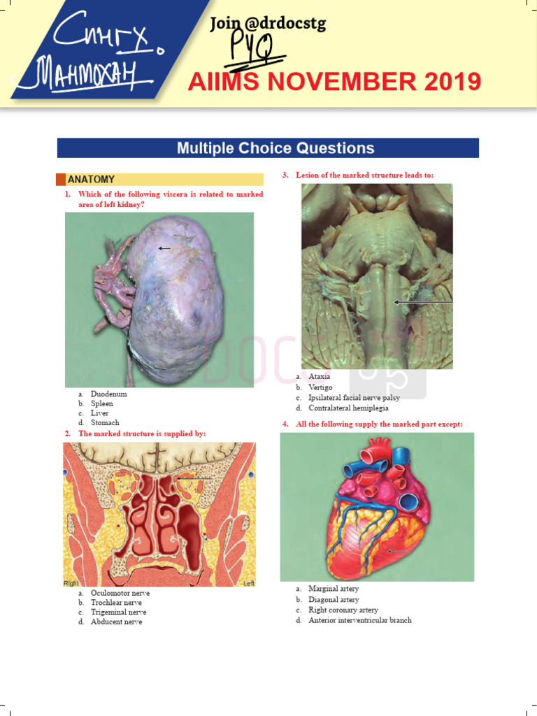 AIIMS 2015-2019 PYQs | PDF