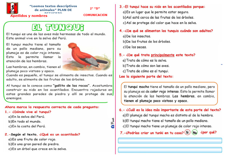 D4 FICHA COM - "Leemos Textos Descriptivos de Animales"" PLAN DE ...