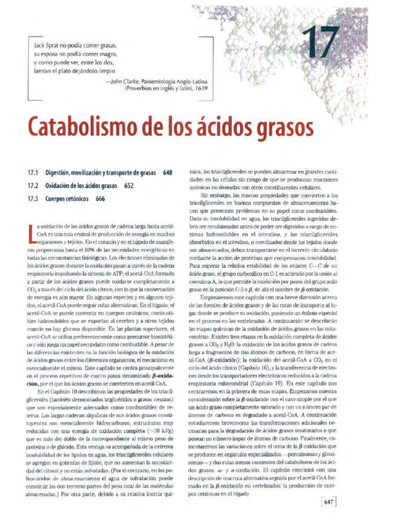 Catabolismo de Ácidos Grasos | PDF