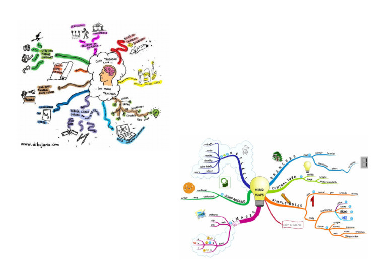Mapa Mental Pdf