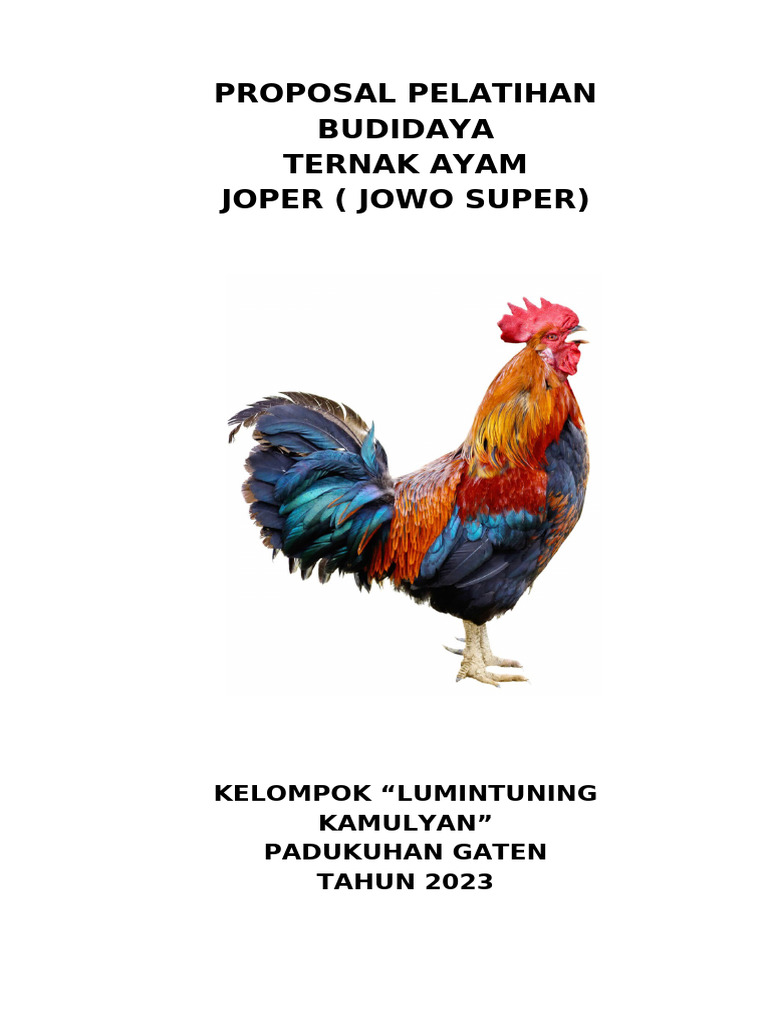 Proposal Padukuhan Gaten Pelatihan Budidaya Pelatihan Budidaya Ternak Ayam JOPER ( Jowo Super) | PDF