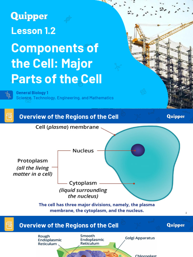 1 Components of The Cell Major Parts of The Cell | PDF | Cell Membrane ...