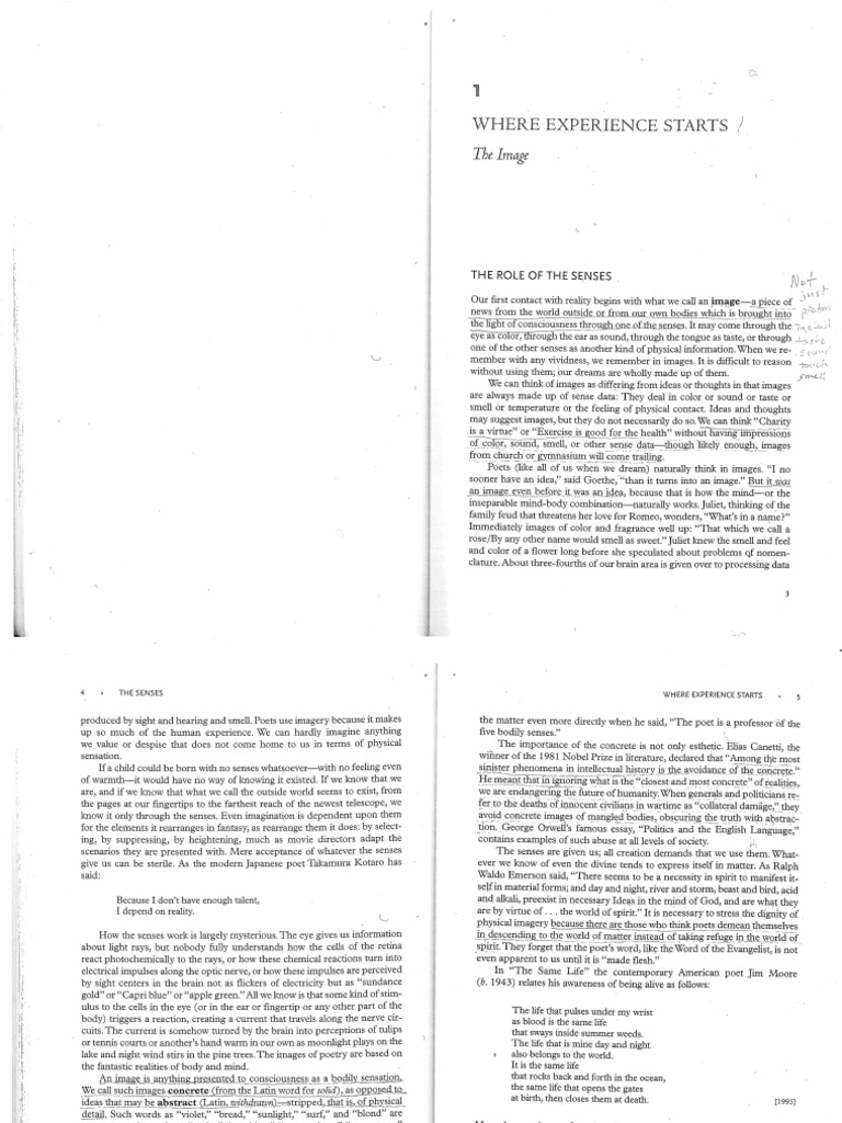 Nims - Mason - Where Experience Starts - The Image | PDF