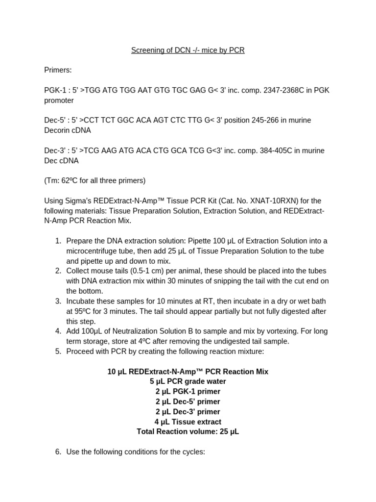 Screening of Decorin Null Mice by PCR | PDF