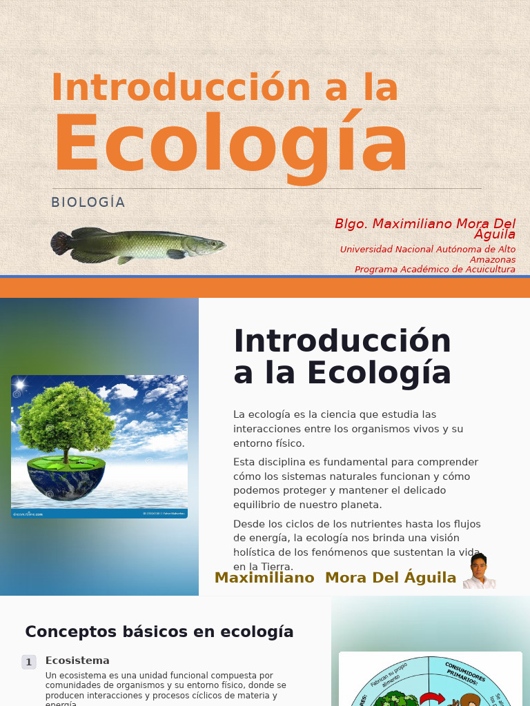 Sesión 14. Introduccion A La Ecologia | PDF | Ecología | Ecosistema