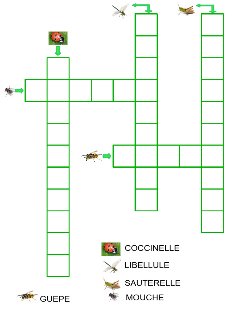 Mots Croisés Insectes-Fi15858400 | PDF