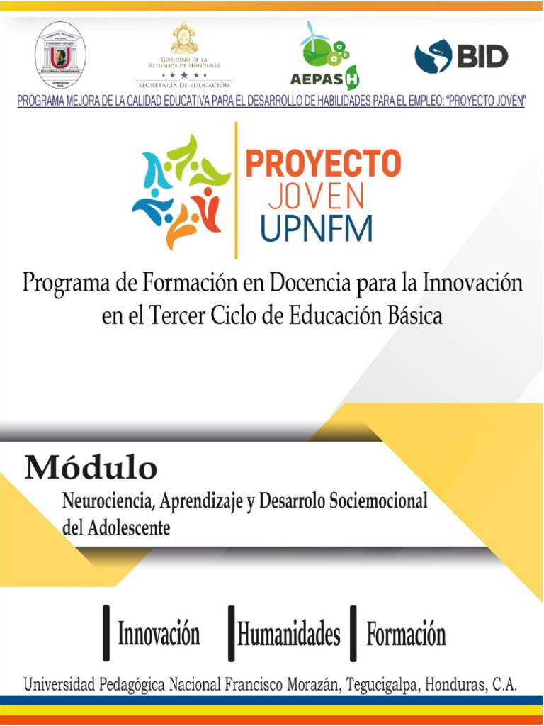 Guia Neurociencia, Aprendizaje y Desarrollo Socioemocional Del Adolescente (2) Conv | PDF