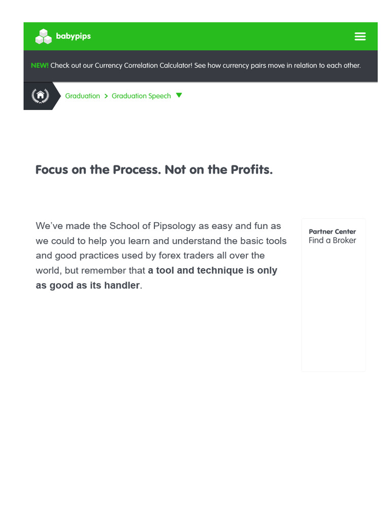 Learnforexfocus On The Process | PDF