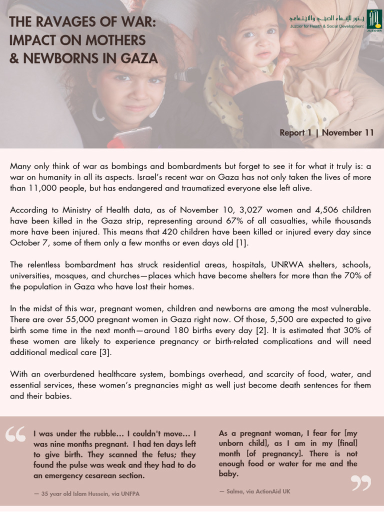 Maternal Health Report Final | PDF