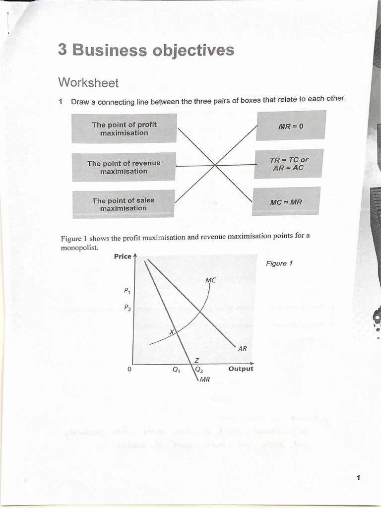 Micro Worksheet | PDF