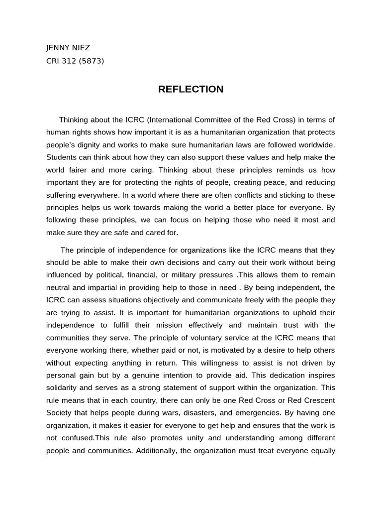 Human Rights Reflection | PDF