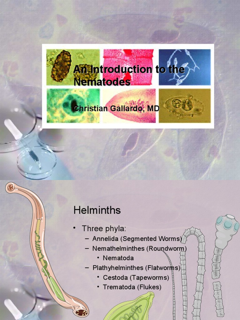 Overview of Nematodes and Helminths | PDF | Nematode | Parasitology