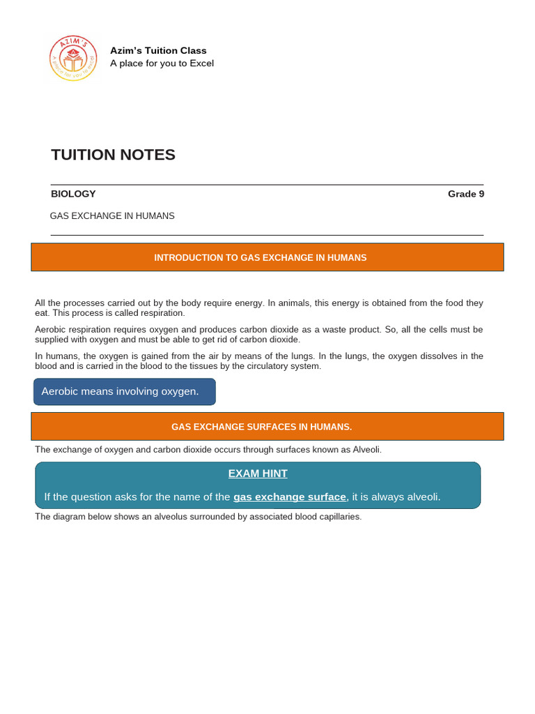 Gas Exchange Notes | PDF