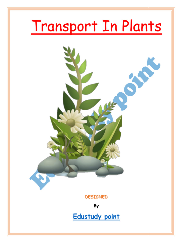 Transport in Plants 12 | PDF