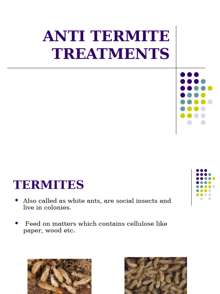 ANTI TERMITE TREATMENTS (Finial) | PDF