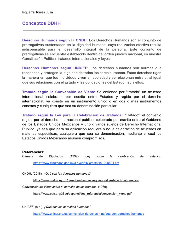Conceptos DDHH | PDF