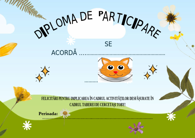 Diploma Tabara | PDF