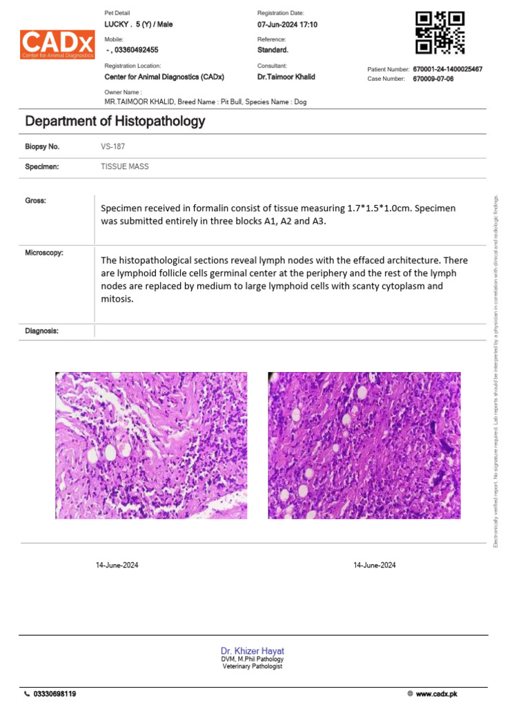LUCKY .Report by Dr. Taimoor.. | PDF