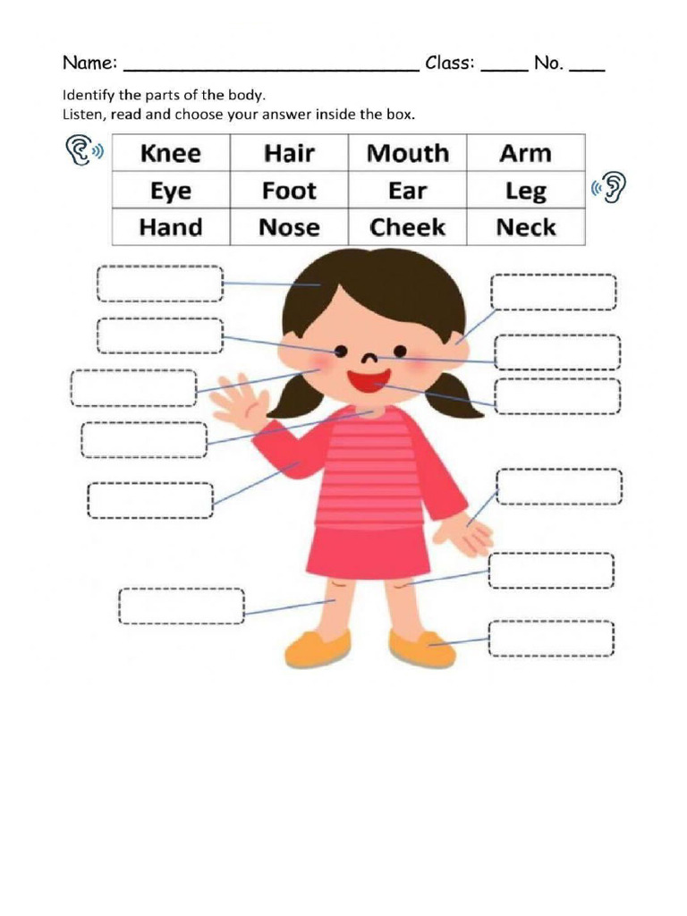 Worksheet Grade 1 Chap 1 | PDF