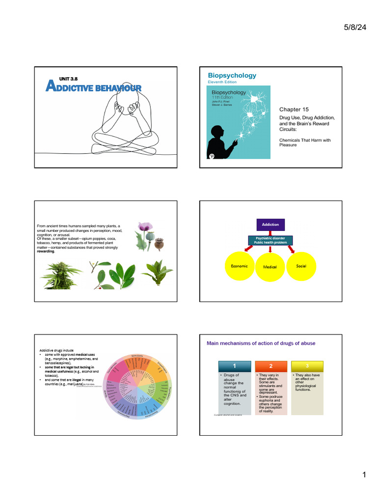 3.8. Addictive Behaviour | PDF