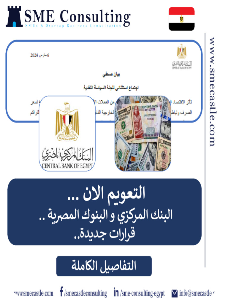 Sme Consulting | PDF