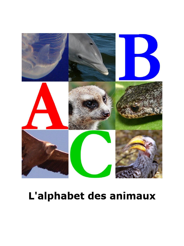 Alphabet Des Animaux | PDF