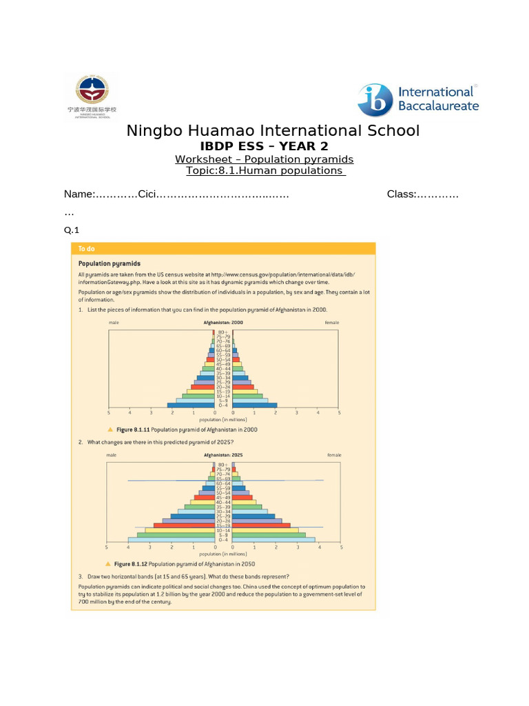 Cici Population_Pyramids | PDF