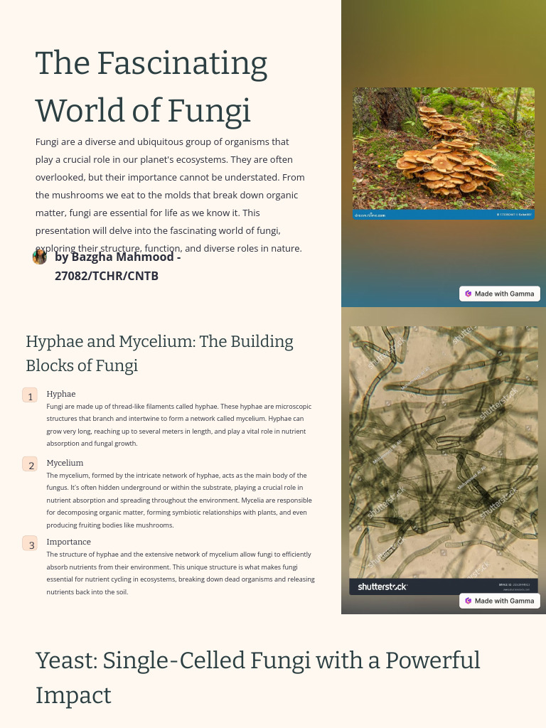 The Fascinating World of Fungi | PDF