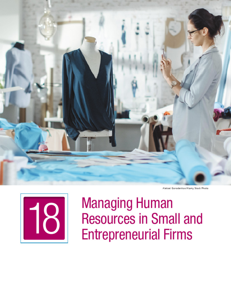 HRM Chapter 18 (Managing Human Resources in Small and Entrepreneurial ...