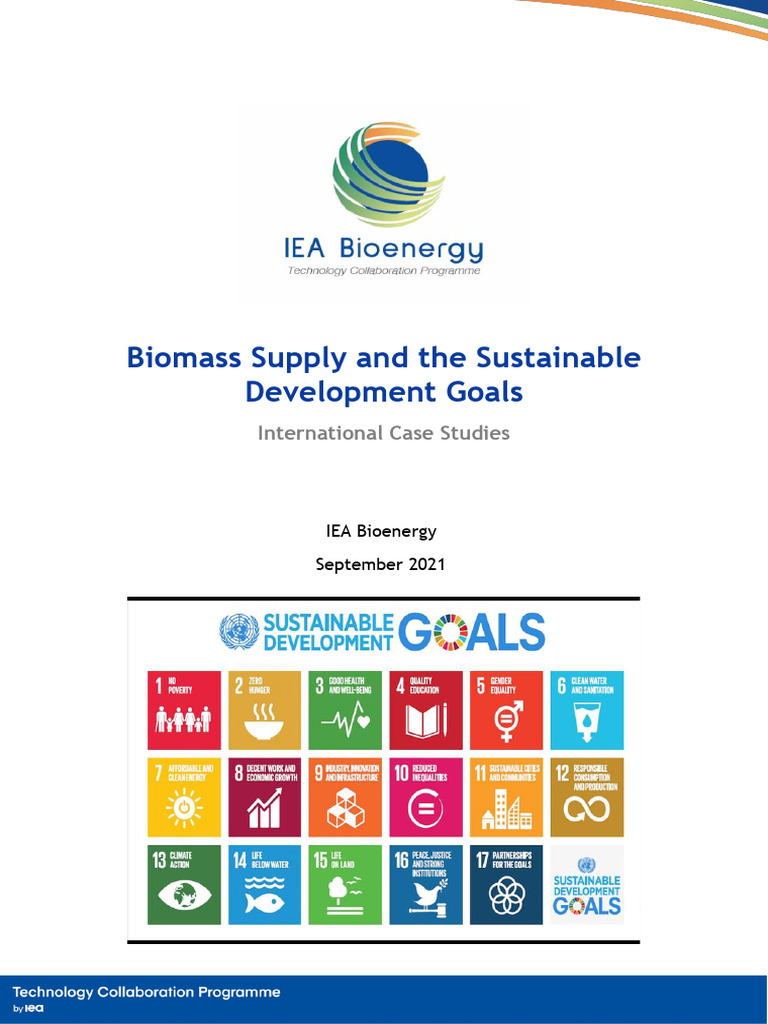 IEA-Bioenergy-SDG-Case-Study-Report-FINAL-1 | PDF