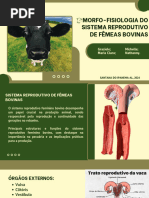 Manual de Reprodução Bovina | PDF | Hormônio luteinizante | Ovário