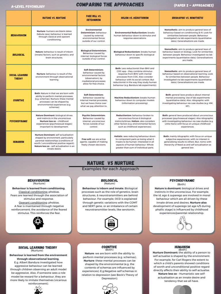 Comparing The Approaches | PDF