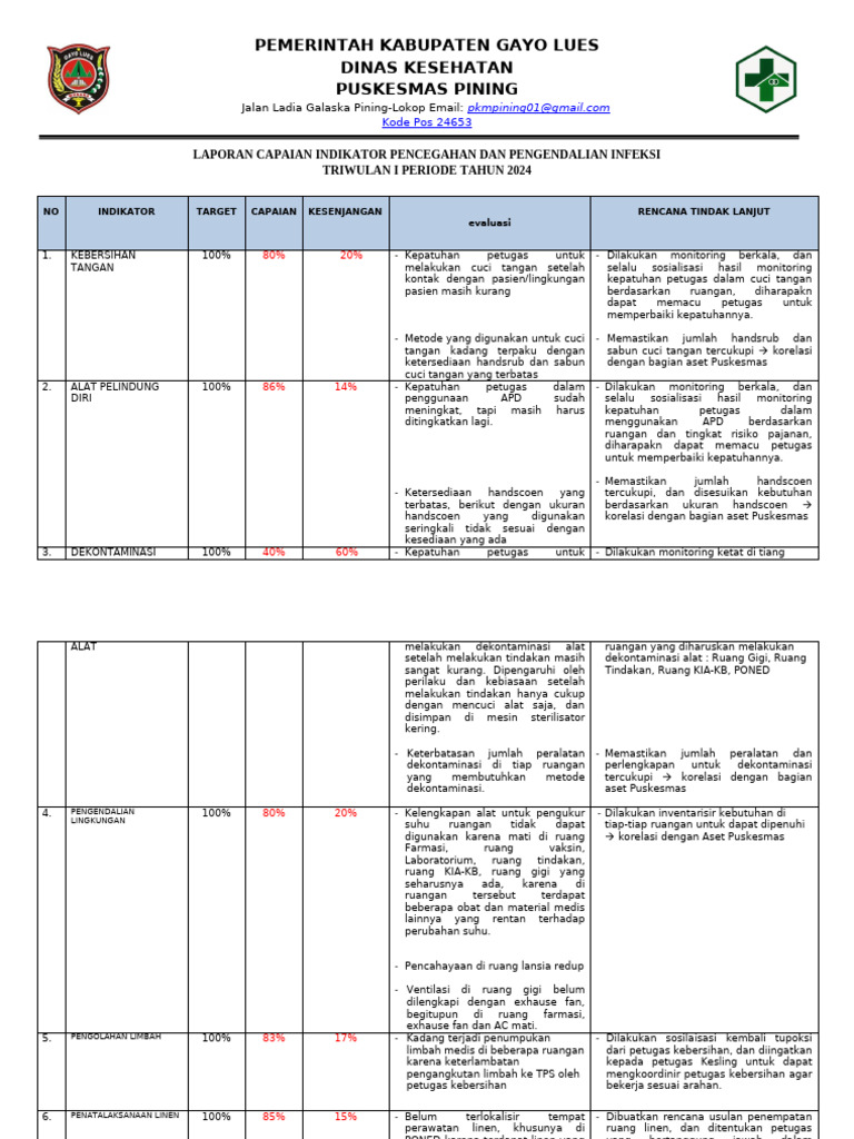 Laporan Capaian Indikator PPI 2024 | PDF