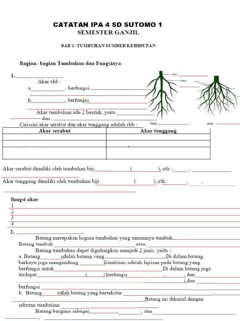 Ipa-Bab1 Latihn | PDF