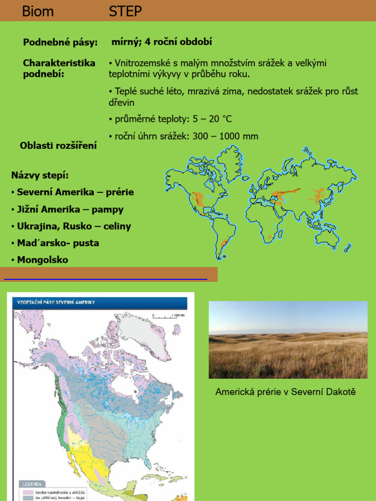 Stepi A pouÅ¡tÄ - Prezentace | PDF