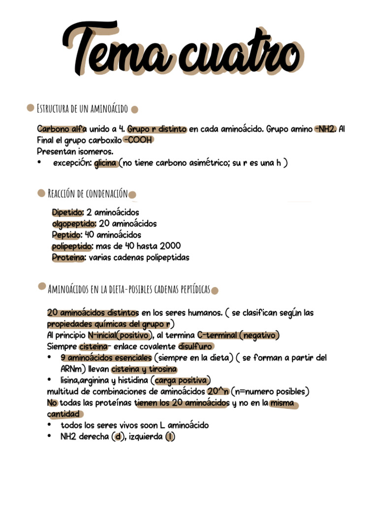 TEMA Cuatro | PDF