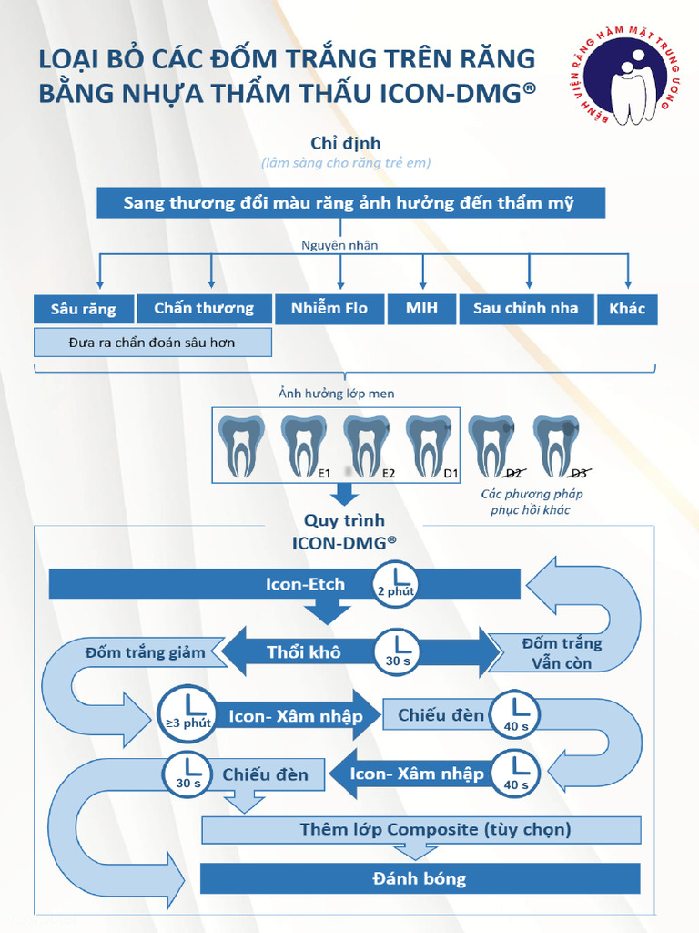 Icon DMG 1 Ilide - Info Platform PDF Viewer | PDF