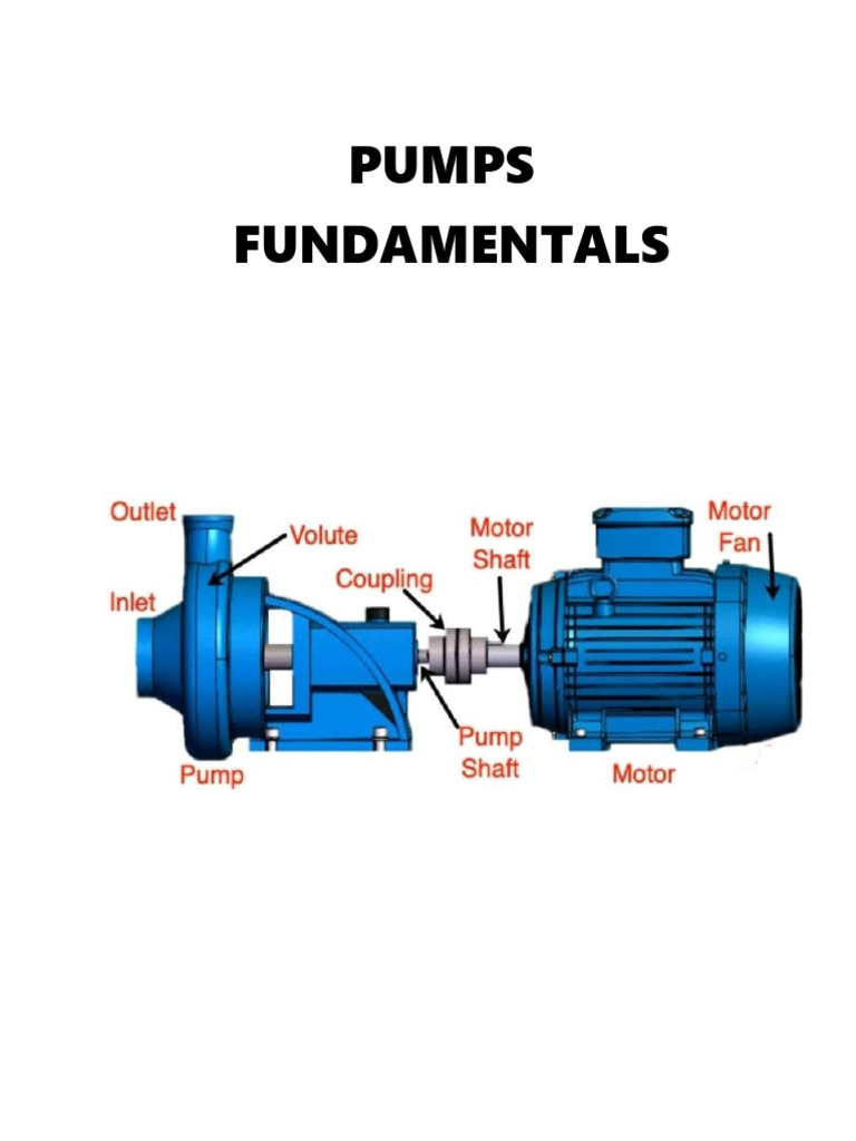 Pumps Fundamentals | PDF
