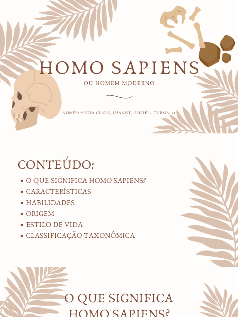 Homo Sapiens | PDF