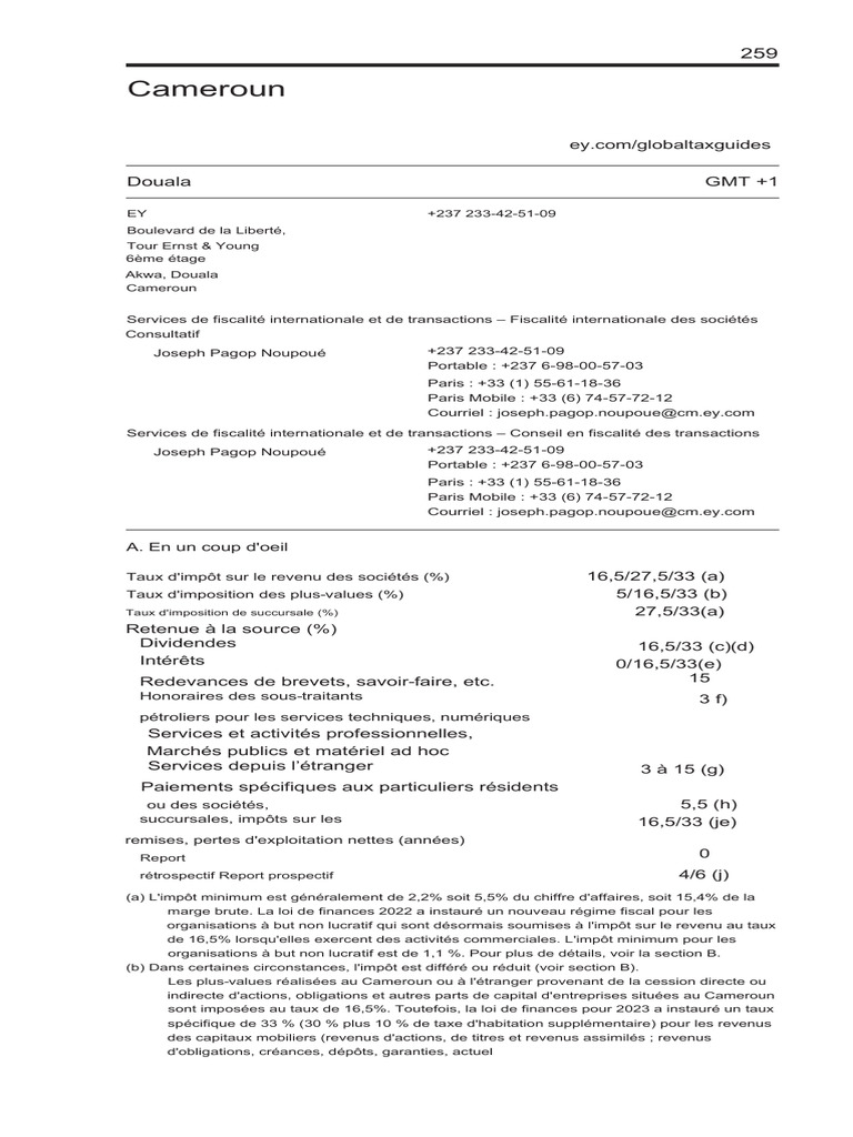 Ey Worldwide Corporate Tax Guide 21 Sep 2023 Cameroon | PDF