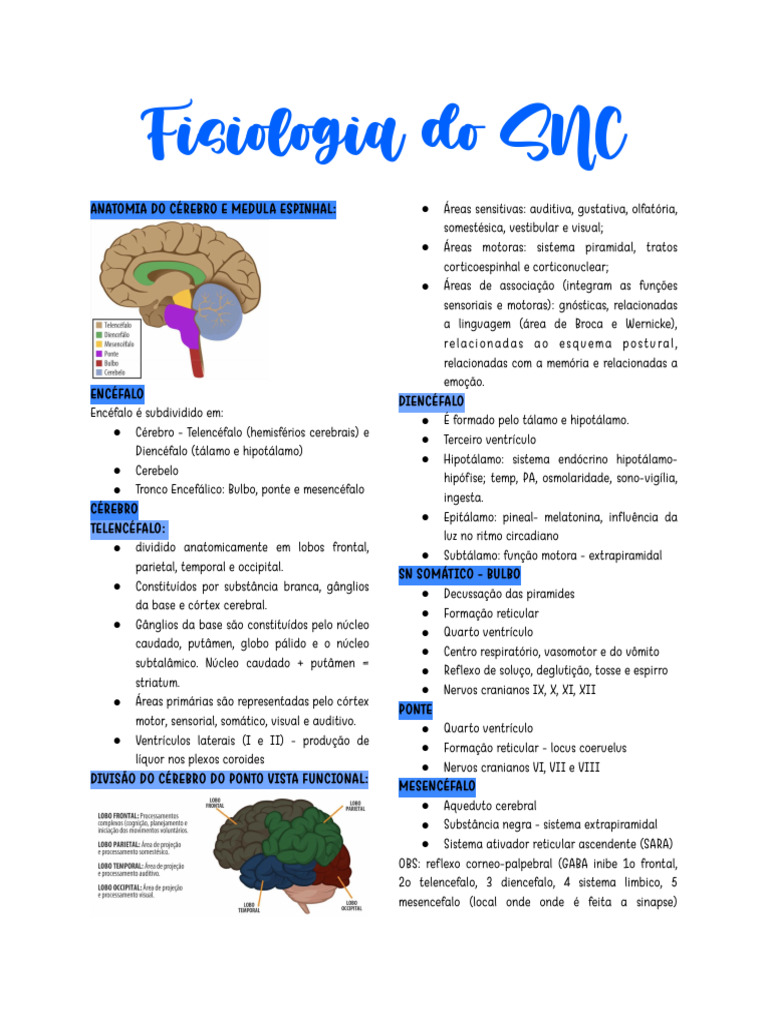 Fisiologia SNC | PDF