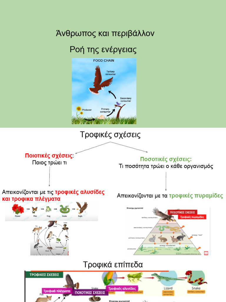 2.2 ροη ενεργειας | PDF