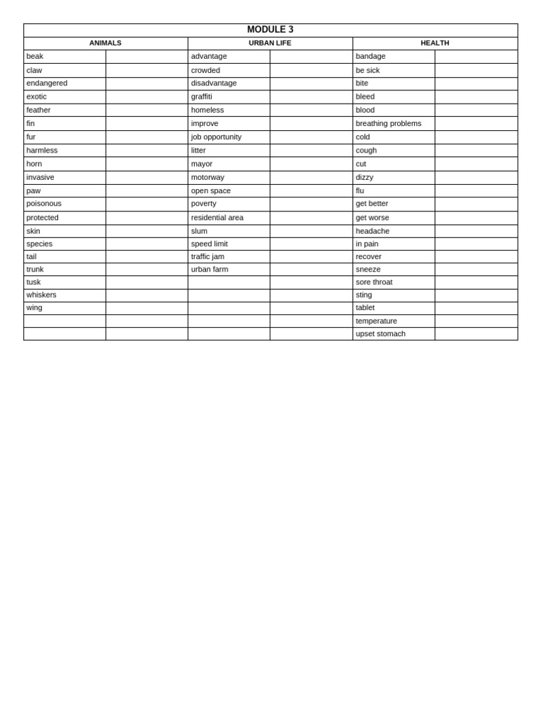 Vocabulary Network 3 | PDF