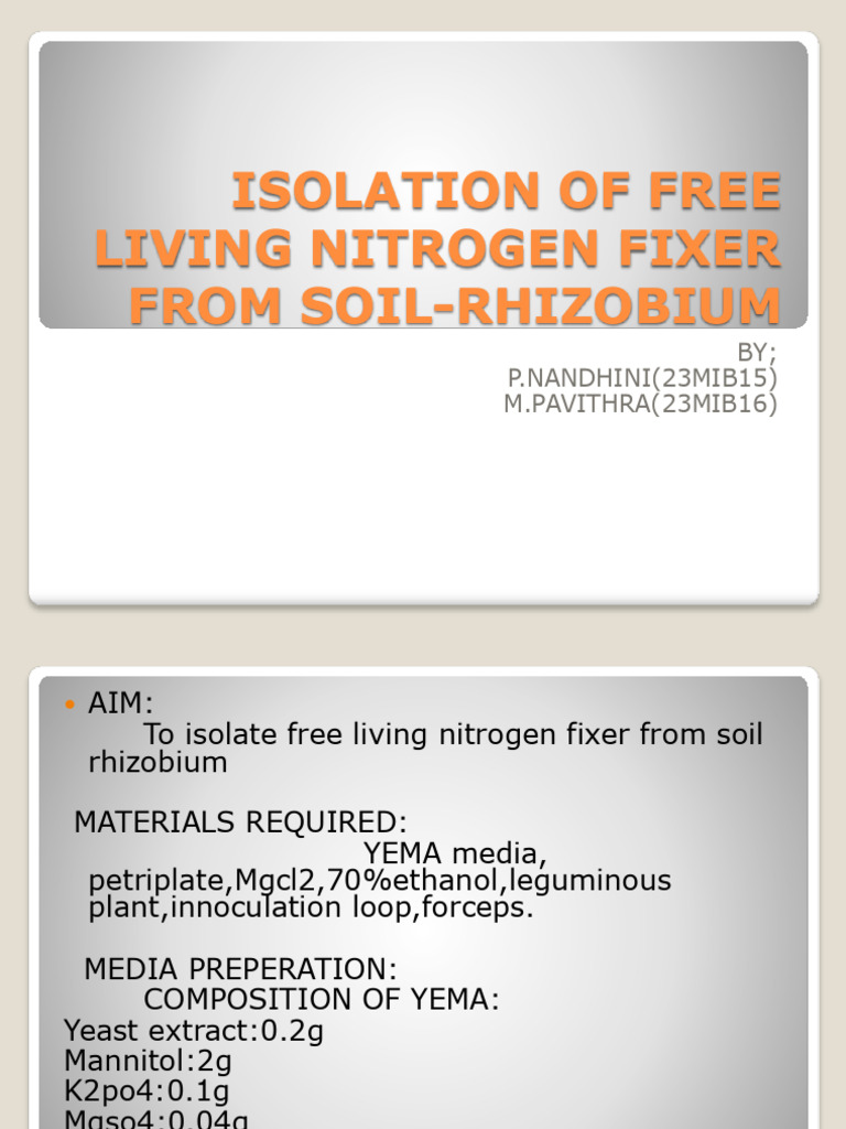 Isolation of Free Living Nitrogen Fixer From Soil-Rhizobium | PDF