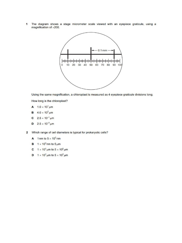 B1 Unit Assessment | PDF