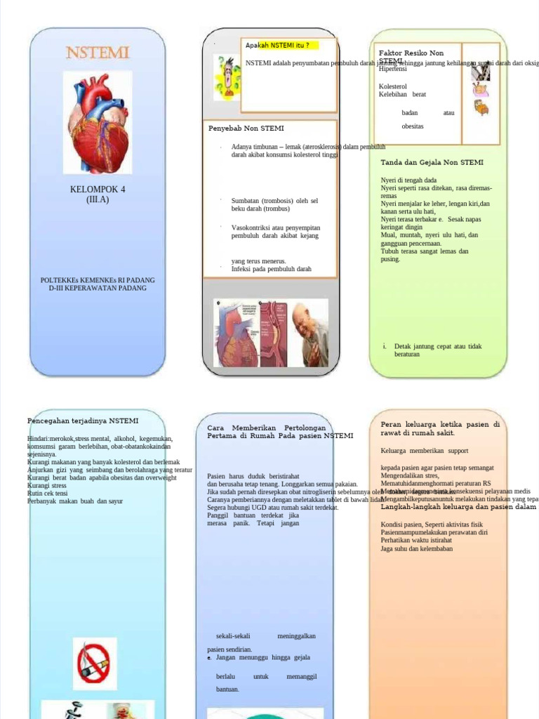 PDF Leaflet Nstemi | PDF