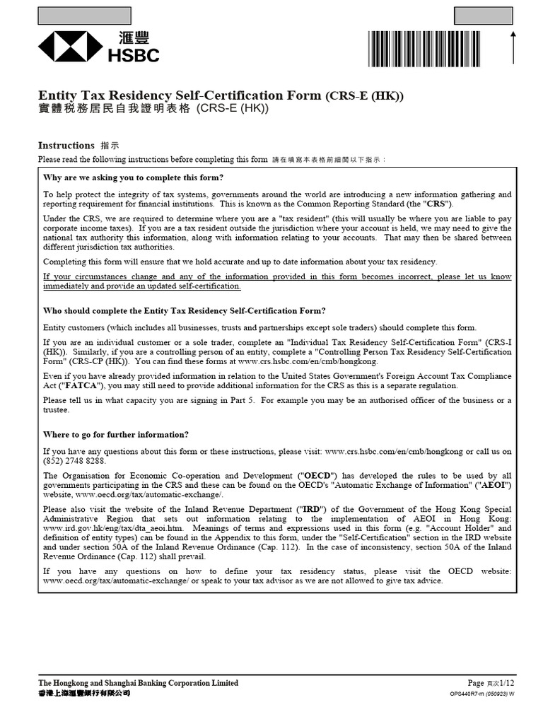 Entity Self Certification Form | PDF